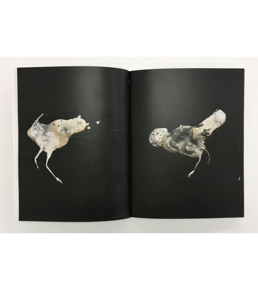 Lionel Sabatté and Éric Chevillard. Chimères de rouille et de poussière