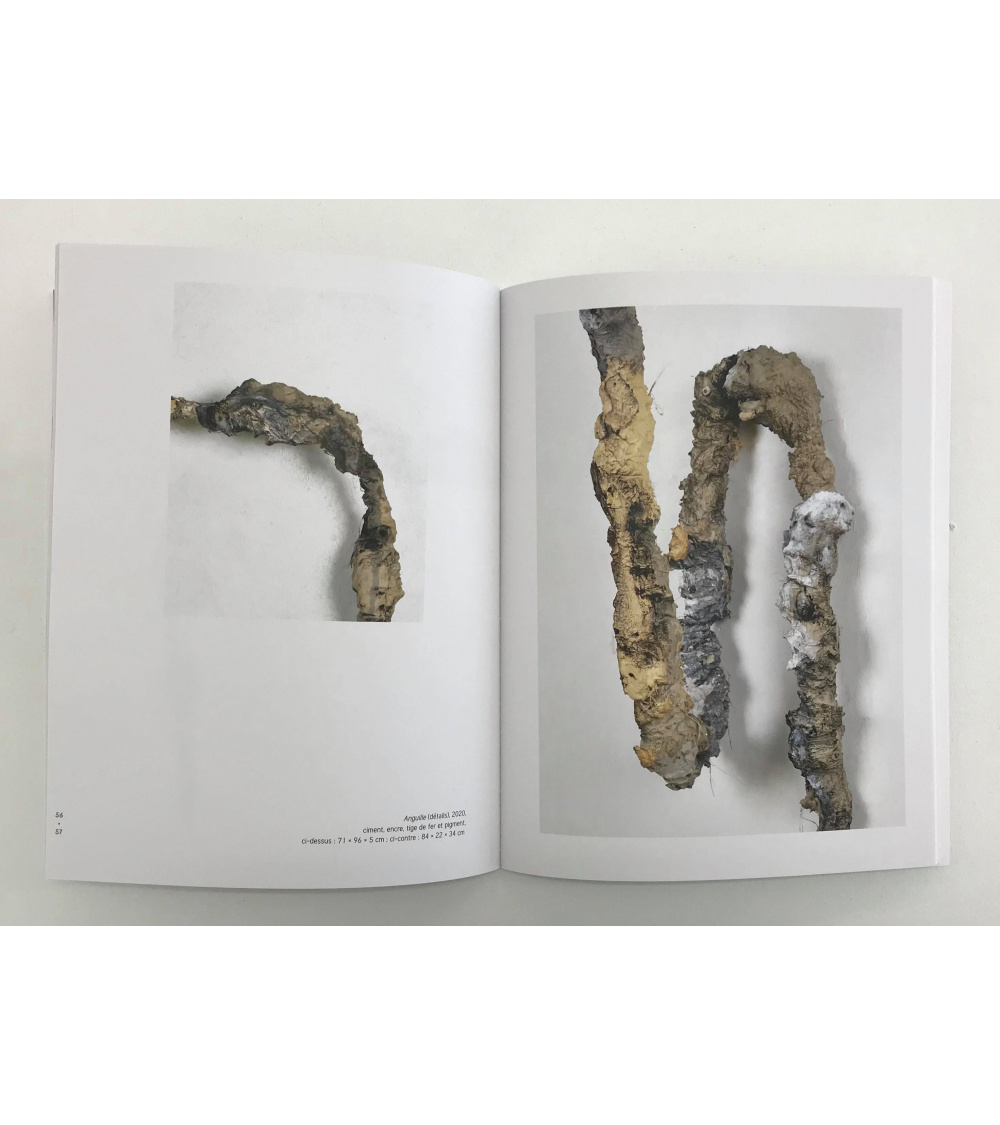 Lionel Sabatté and Éric Chevillard. Chimères de rouille et de poussière