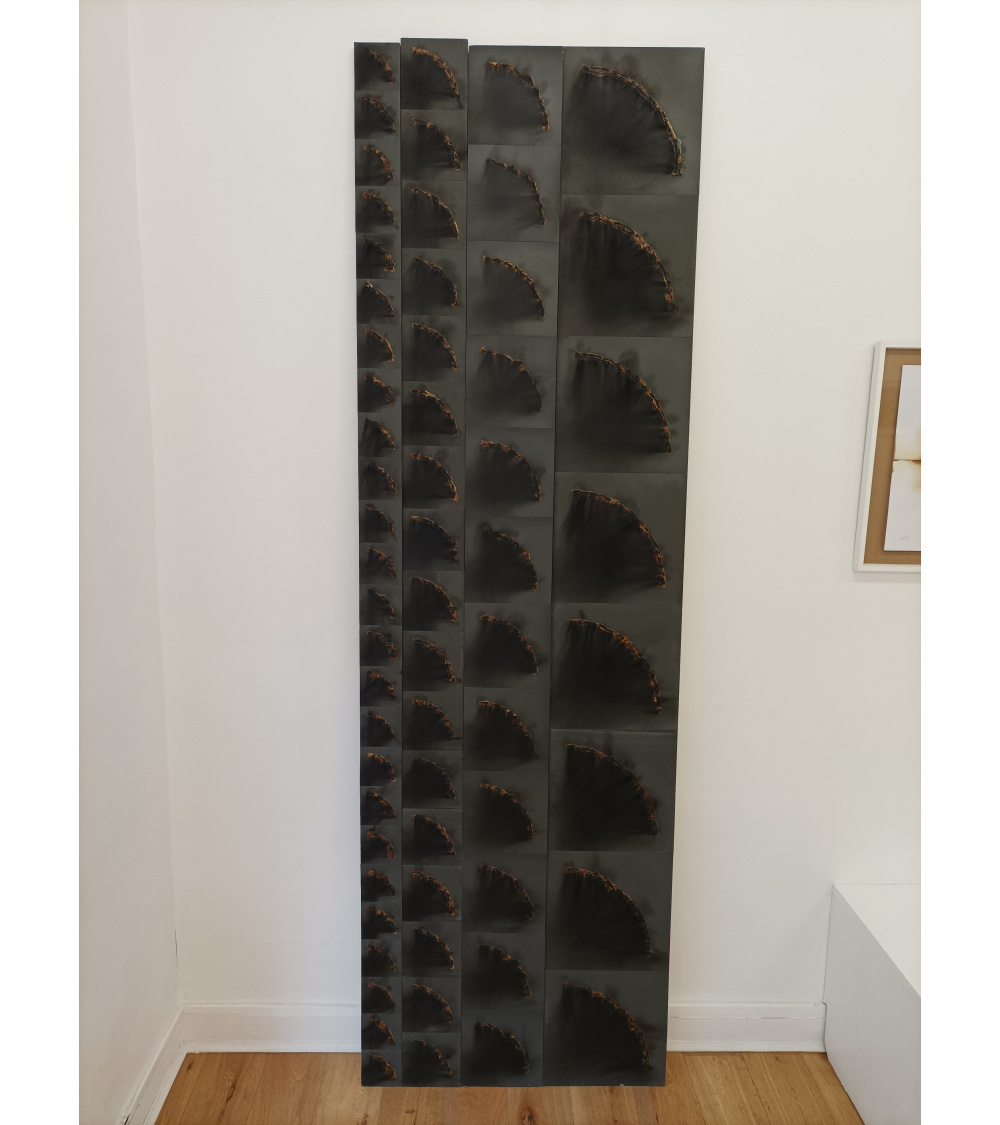 Christian Jaccard / Poétique de l'incandescence