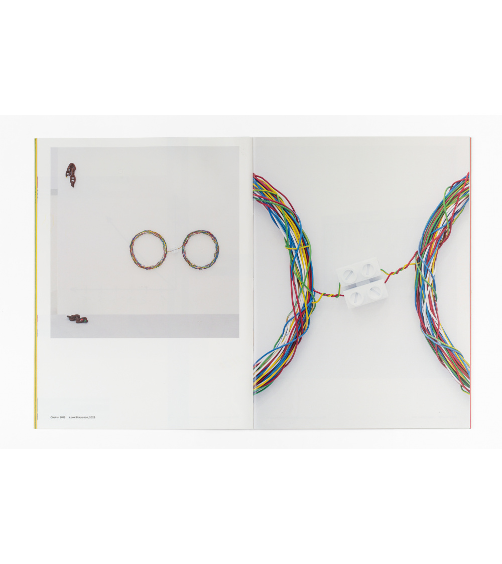 Pascale Marthine Tayou. Petits Riens