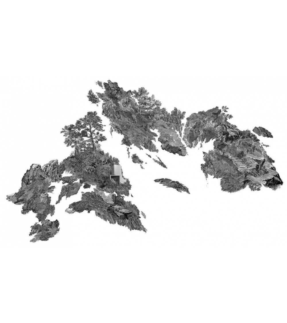 Claire Trotignon - Cold Hill Side